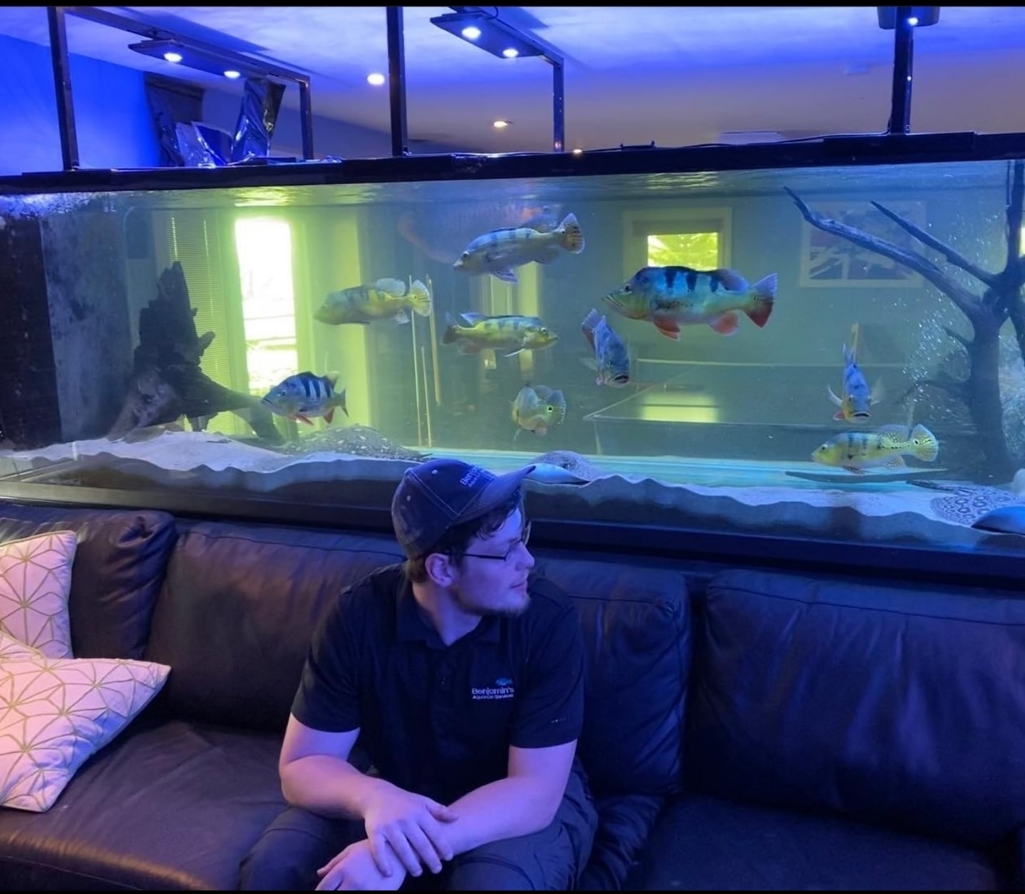Now This is an Impressive Aquarium! - Benjamin's Aquarium Services